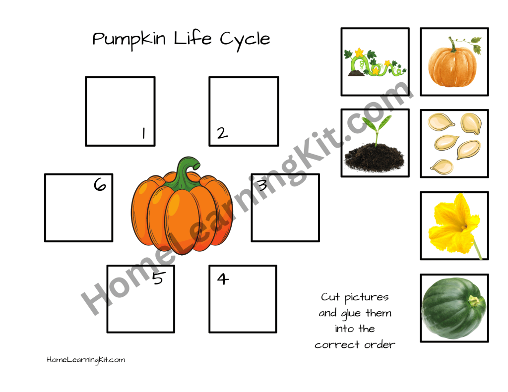 Fall Activity Packet - Home Learning Kit
